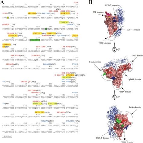 [pdf] Phage Display Selection Of Cyclic Peptides That Inhibit Andes