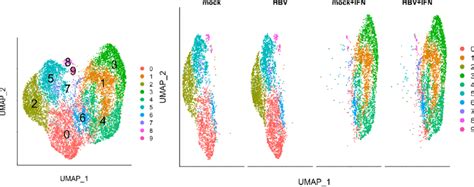 Clustering Analysis Of The Scrna Seq Data From The Huh75 Ntcp Cells