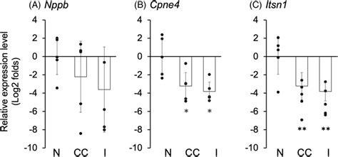MRNA Expression In Rat Wound Tissues The Relative Expression Levels Of