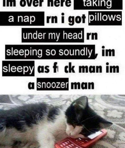 Snore Mimimi R Xertunposting