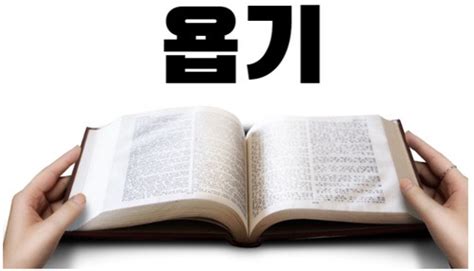 Holy Bible 생명의 삶 영어 한글 성경 말씀 욥기job 15장