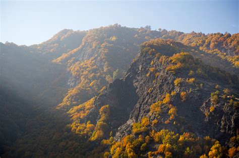 일몰에 아스팔트 산악 도로와 다채로운 가을 숲과 놀라운 전망 가을에는 빈 도로 나무 햇빛이 있는 아름다운 풍경 여행 배경 자연