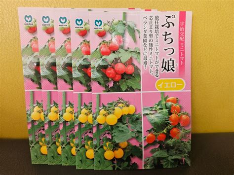 Yahooオークション ミニトマト種 ぷちっ娘 イエロー 12粒×5袋 未開