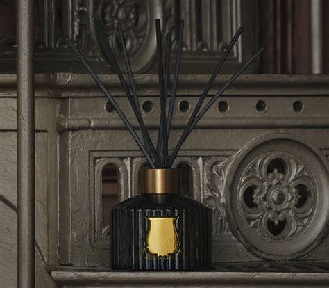 The Diffusers Trudon