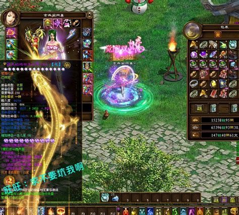 稀有精品网单【征途】单机版龙星紫装新附件完整任务版gm任刷装备视频教程隐盟论坛