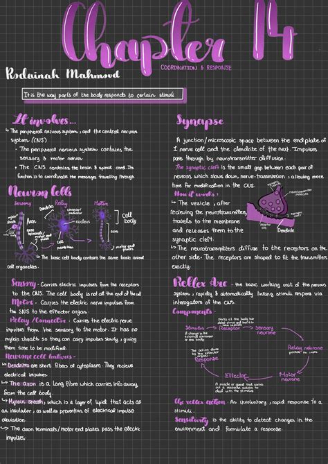 Solution The Nervous System Igcse O Level Biology 0610 Studypool