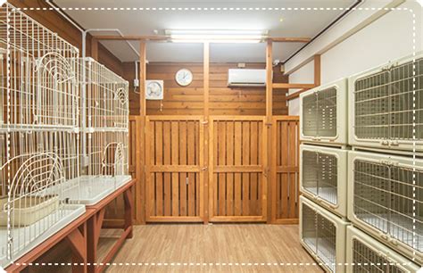和泉多摩川店 ペットサロンリボン｜安心できるトリミング、ペットホテルをお探しなら