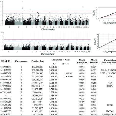 significant snps identified through linear regression and single locus