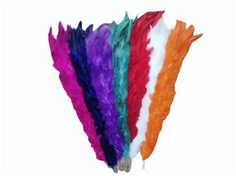 Chicken Feather Peacock Feathers Decorations Sizedimension 20inch At