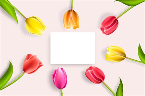 Surat Selamat Hari Ibu Kartu Ucapan Hari Ibu Dengan Bunga Tulip Mekar