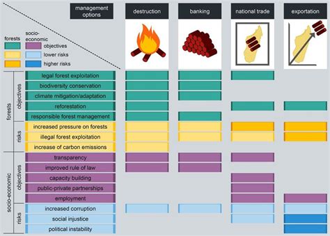 Framework Linking Forest Management And Socio Economic Objectives And Download Scientific