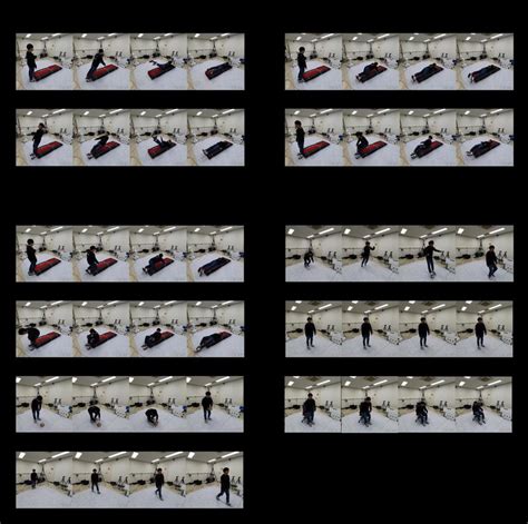 FIGURE B Example Of IMU L Sensor Data Acquisition Download Scientific Diagram