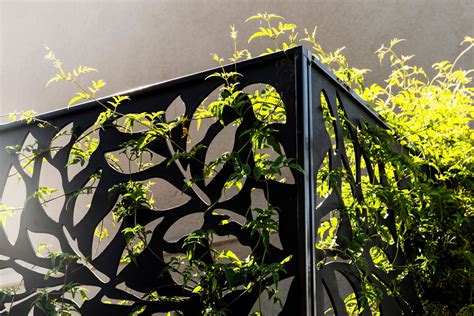Ways To Screen Your Garden From Nosy Neighbours The Portugal News