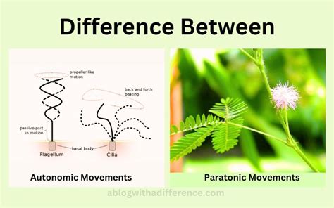 Autonomic And Paratonic Movements The Best 4 Difference