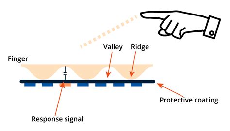 The Benefits Of Fingerprint Identification Argus Trueid
