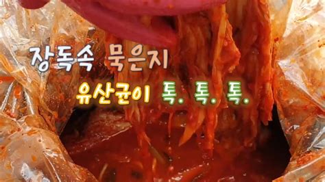 장독 묵은지로 돼지고기 김치찜을 만들어서 먹었습니다 Youtube