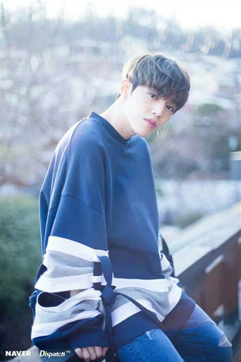 Lirik Lagu Seventeen FULL ALBUM Seventeen Scoups S Coups Seventeen