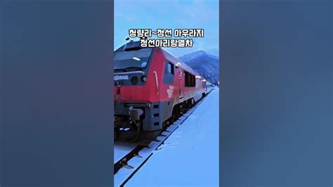 이색적인 국내기차여행 베스트6 백두대간협곡열차 정선아리랑열차 해운대블루라인파크 섬진강기차마을 서해금빛열차 기차여행 국내여행 국내기차여행 Youtube