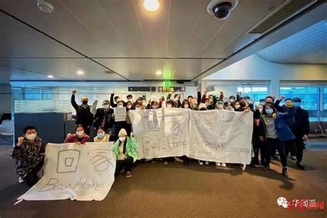 一架飞机54人阳性？被害惨了 知乎
