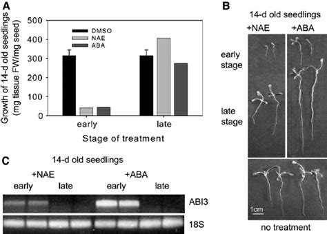 Abi3 Expression Is Associated With Growth Arrest And Is Responsive To