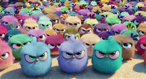 Top 56 Về Hình Nền Angry Birds Vn