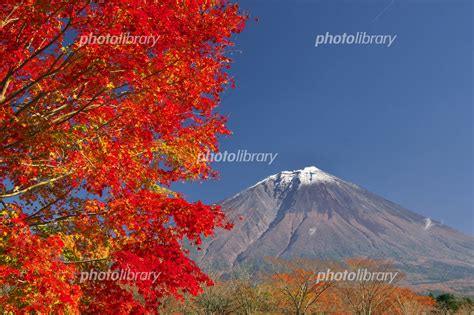 Photolibrary