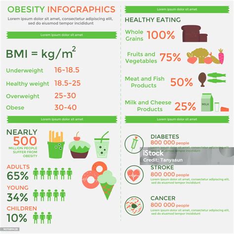 비만 Infographic 템플릿패스트 푸드 앉아있는 생활 다이어트 질병 부분 크기와 건강 한 식습관 개념에 대한 스톡 벡터
