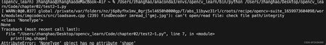 Macbook Vscode Opencv：使用cv2imread“xxx“报错：can‘t Openread File