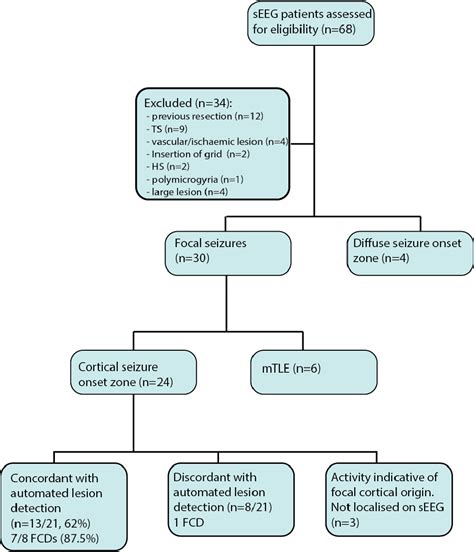 Figure 1 From Planning Seeg Implantation Using Automated Lesion