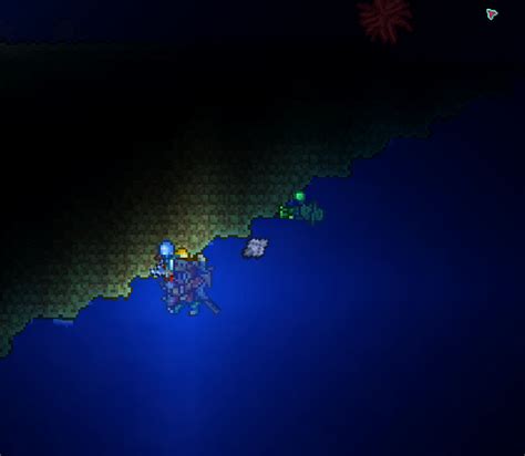 Found This Guy Here Hope He Never Wakes Up Rterraria