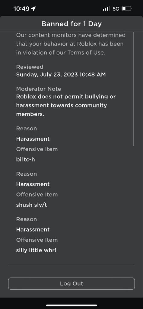Roblox Ban Image