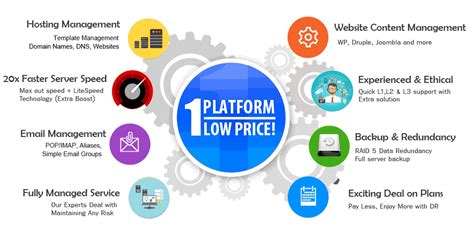 best offshore web hosting in india visual web technologies