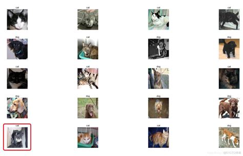 猫狗python机器学习数据集 猫狗分类数据集下载mob64ca1406d617的技术博客51cto博客