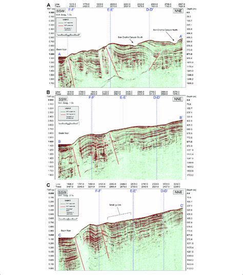 Vertical Arbitrary Seismic Line Sections Rendered In Amplitudes
