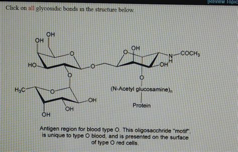 Solved Review Topic Click On All Glycosidic Bonds In The