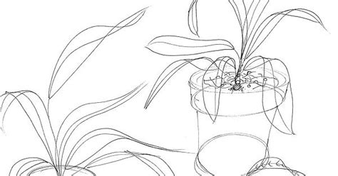 lesson 3 album on imgur