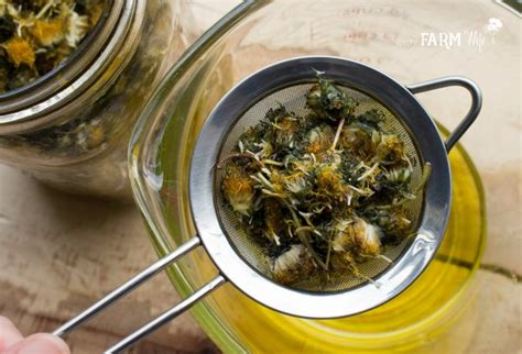 Dandelion And Honey Liquid Soap Recipe
