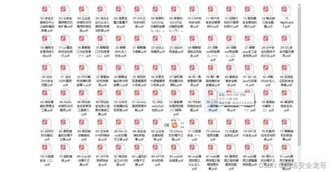 自学黑客（网络安全），一般人我劝你还是算了吧 Csdn博客