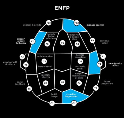 Infj Mbti Electroencephalogram Eeg Brain Scans