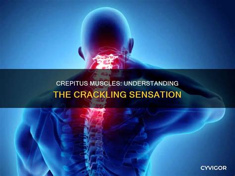 Crepitus Muscles Understanding The Crackling Sensation Cyvigor