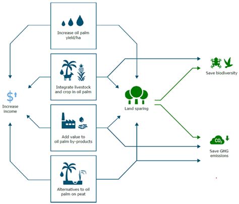 SustainPalm Sustainable Oil Palm Indonesia WUR