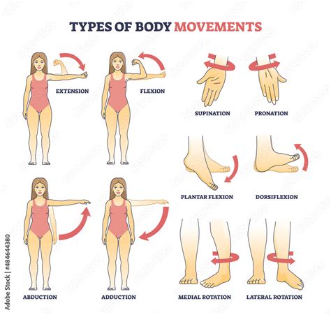 Body Movement