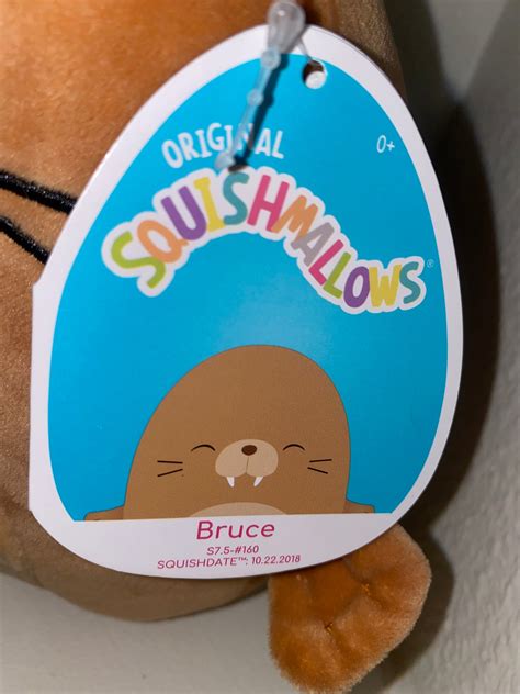 Bruce Walrus Squishmallow 7 5 Inch Etsy