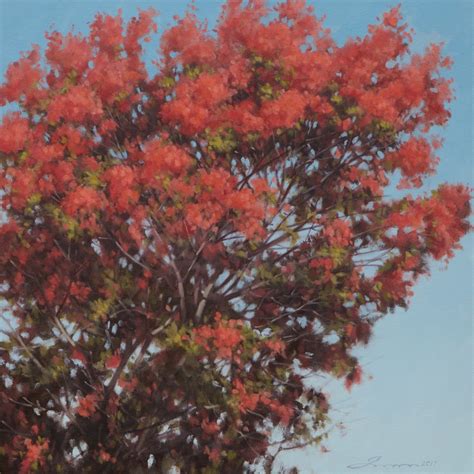 Stephen Travers Art Warrimoo Christmas Bush 50 8 X 50 8 Cm 2017 I