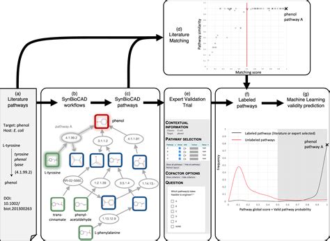 Scientists Introduce An Automated Pipeline Galaxy Synbiocad For Synthetic Biology Design And