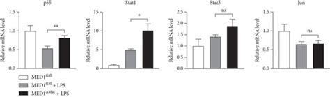 Med1 Deficiency Enhances Nf κb And Stat1 Activation In Macrophages A Download Scientific