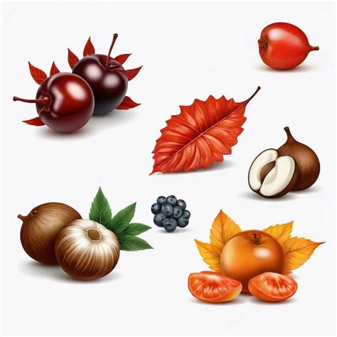 Allows Vector Set White Background Isolated A High Premium AI