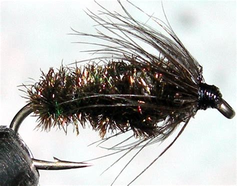 Blackandpeacock Trout Fly Pattern