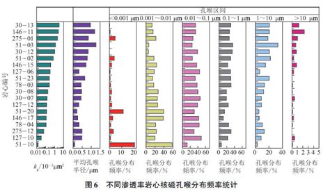 核磁共振分析致密砂岩的孔隙结构孔喉半径 纽迈 低场核磁共振 高端智能绿色实验室设备