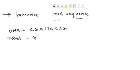 Given A Sequence Of Nucleotides From The Dna Nontemplate Strand